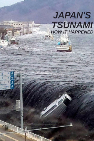 Japan Tsunami: How It Happened (2011): Alle Streaming-Anbieter