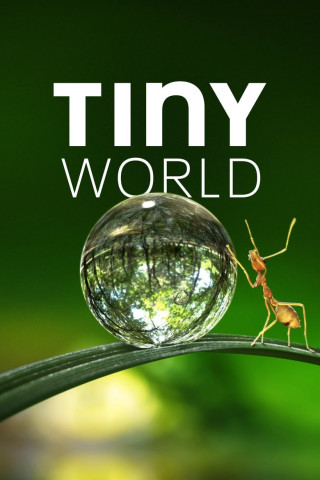 Tiny World (2020): Alle Streaming-Anbieter