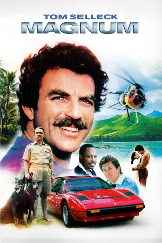 Magnum (1980): Alle Streaming-Anbieter