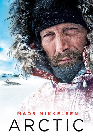 Arctic (2018): Alle Streaming-Anbieter